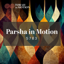 Podcasts | Torah In Motion